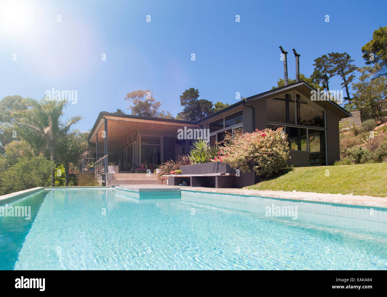 Swimming pool tree architecture building exterior hi-res stock ...