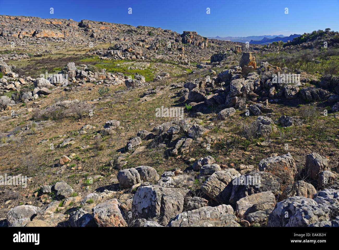 Landscape of the Cederberg Wilderness Area, Cederberg Wilderness Area ...