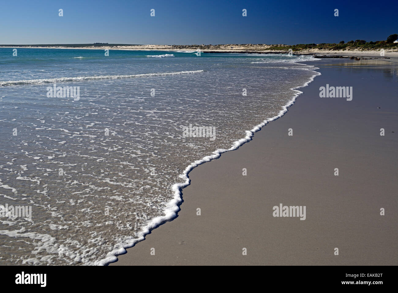 Beach in Lamberts Bay, Lambert's Bay, Western Cape, South Africa Stock ...