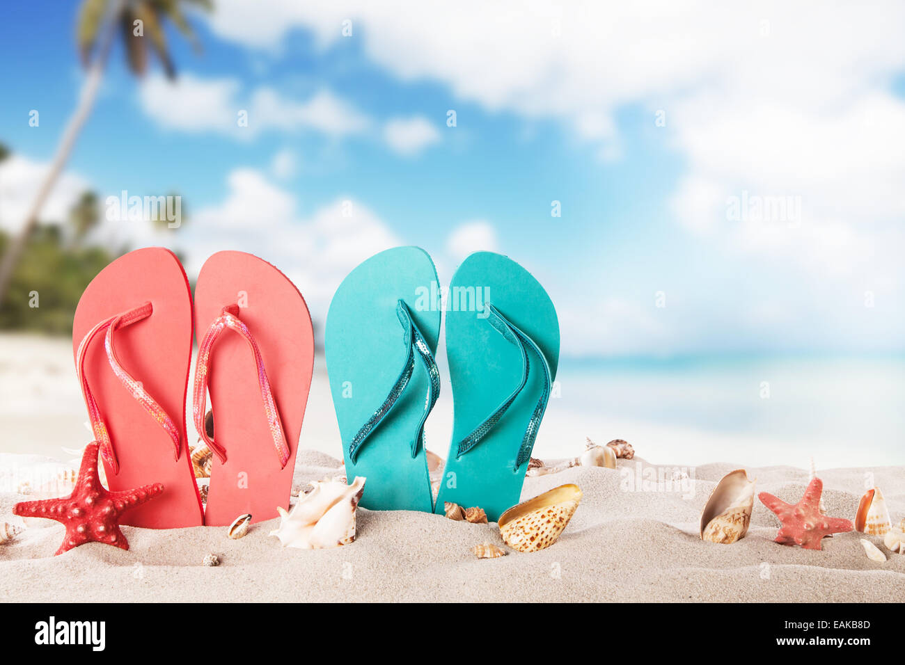 Summer concept with sandy beach, shells, red and blue sandals Stock ...