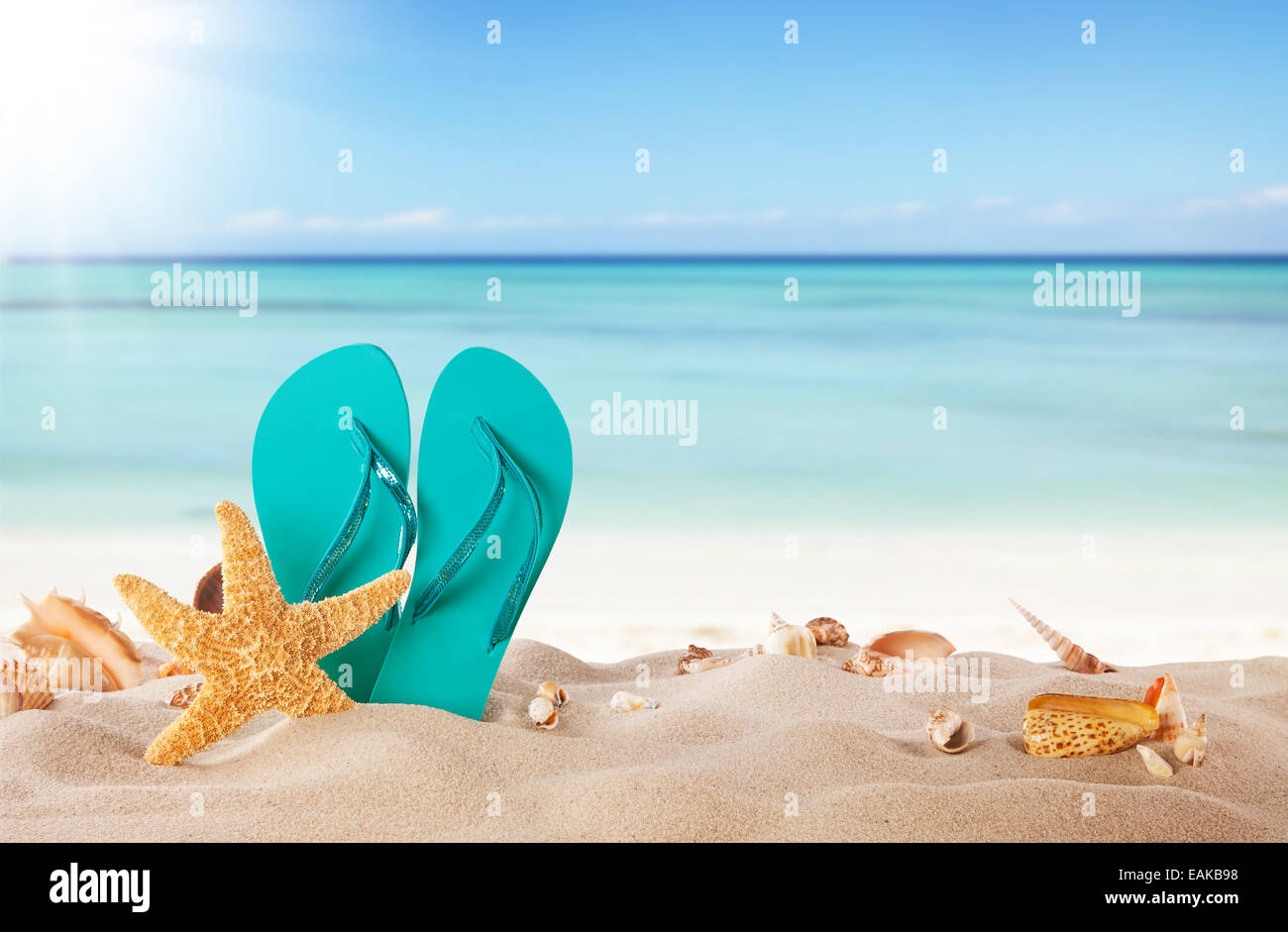 Summer concept with sandy beach, shells and blue sandals Stock Photo ...