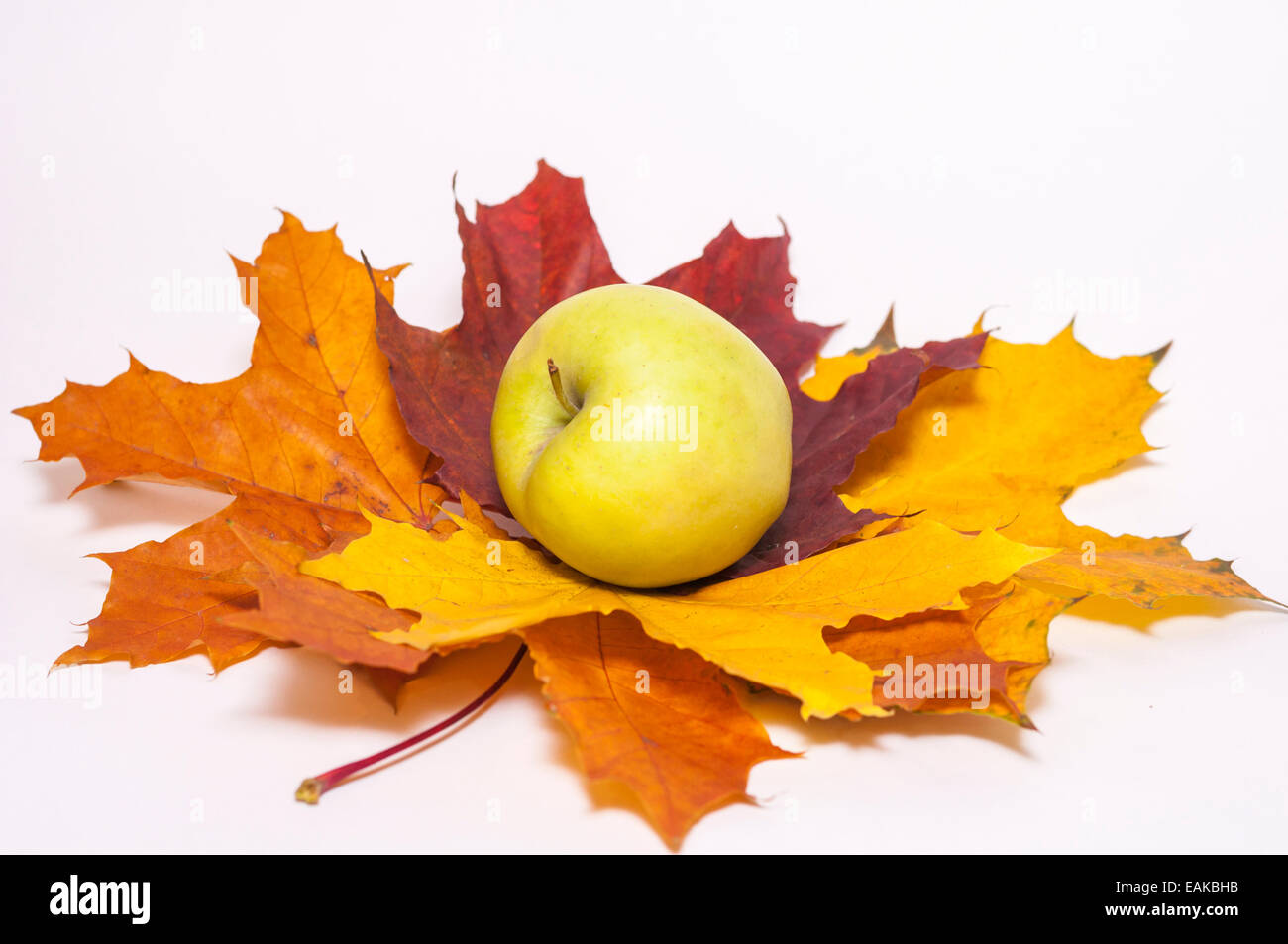 Apple leaves falling hi-res stock photography and images - Alamy