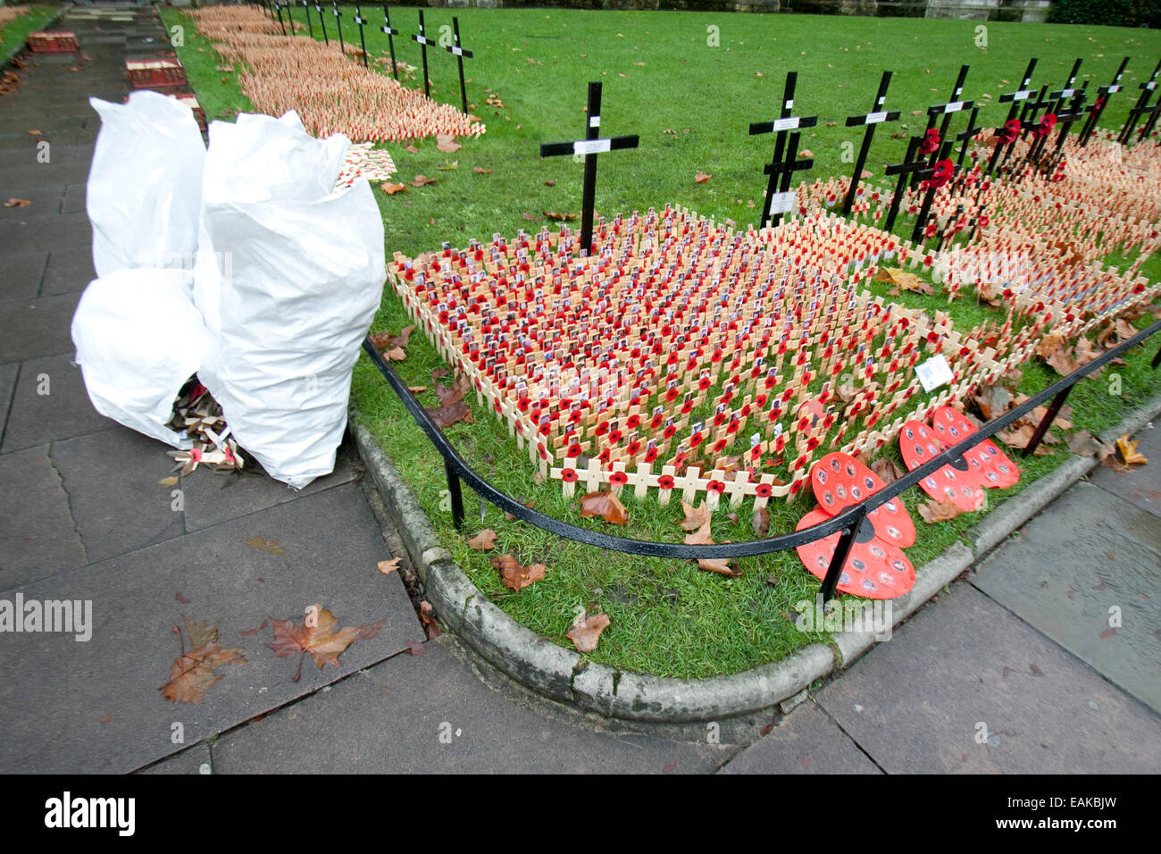 British red cross volunteers war hi-res stock photography and images ...