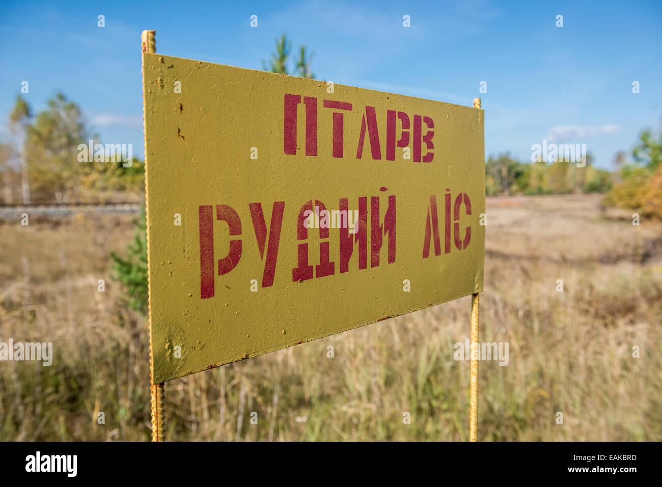 Red forest in chernobyl hi-res stock photography and images - Alamy