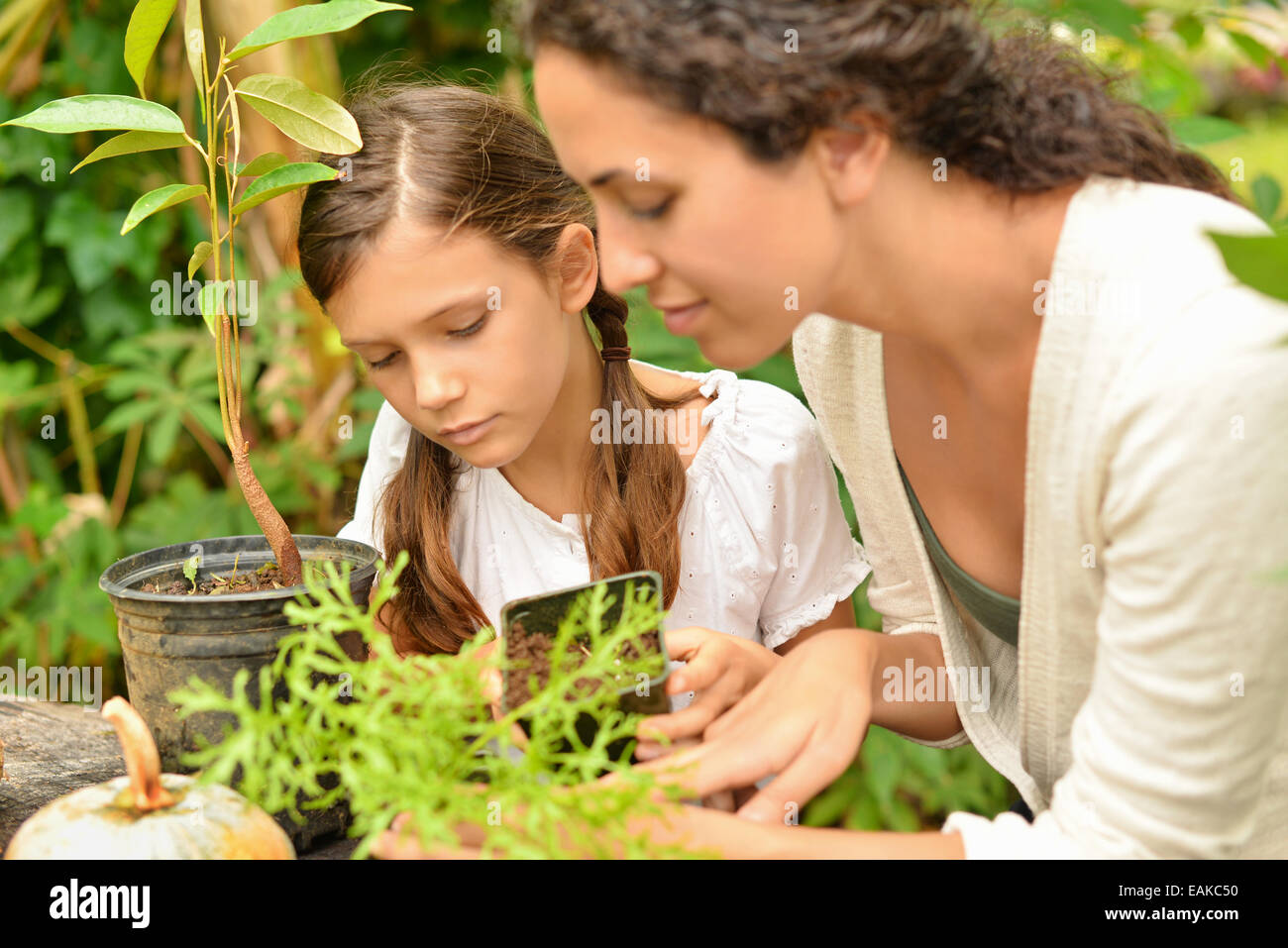 Greenhouse garden potting up hi-res stock photography and images - Alamy
