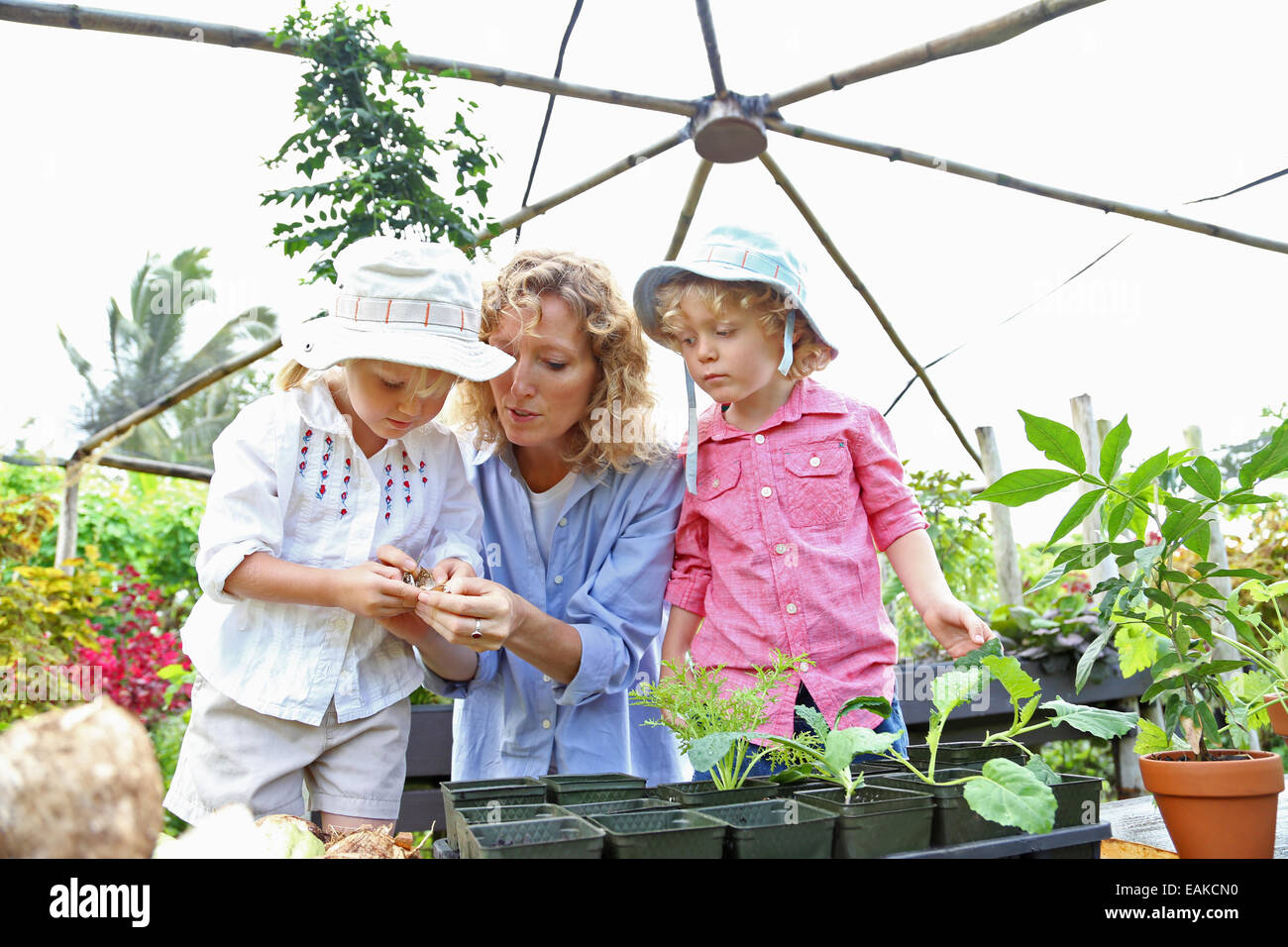 Children planting seedlings hi-res stock photography and images - Alamy