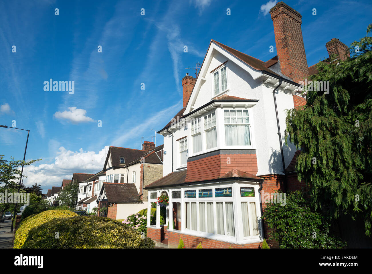 Row of large detached houses in Cranley Gardens, Muswell Hill, London ...