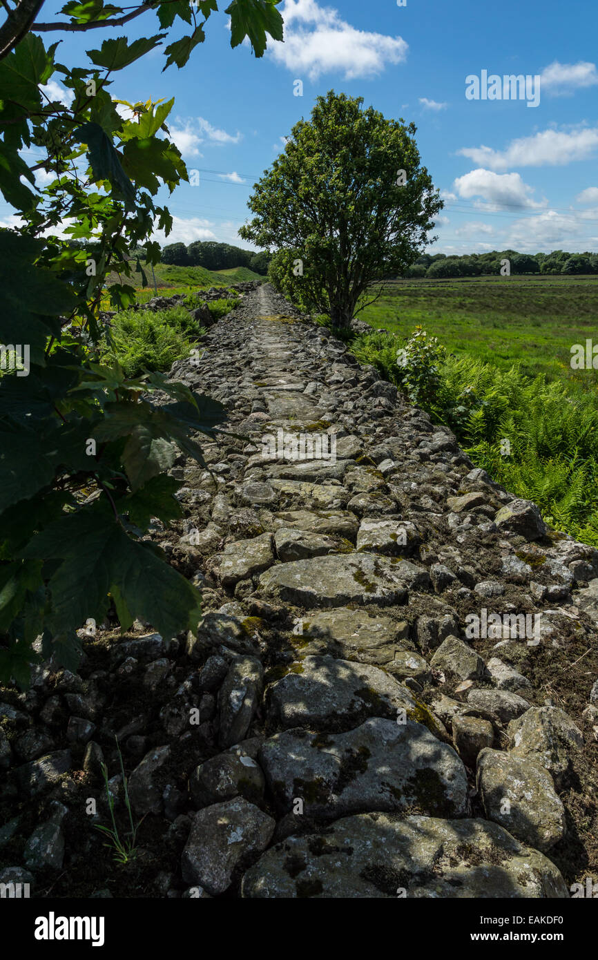 Drystone scotland hi-res stock photography and images - Alamy