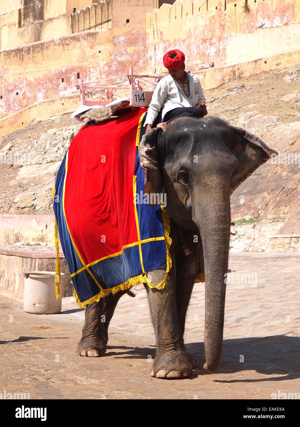 India, Rajasthan, Jaipur, the Amber Fort, elephant driver Stock Photo ...