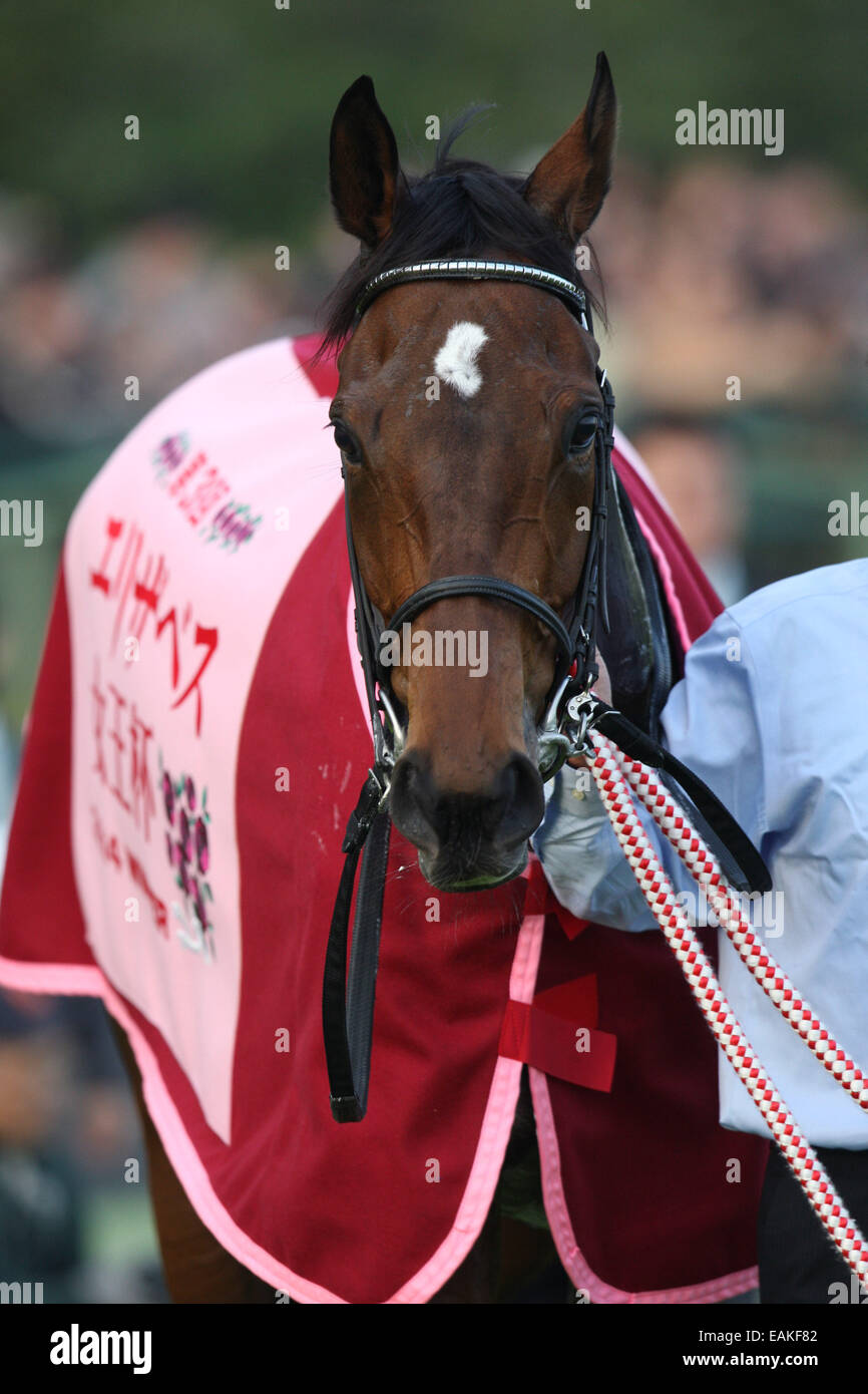 Queen elizabeth horse racing winning hi-res stock photography and ...