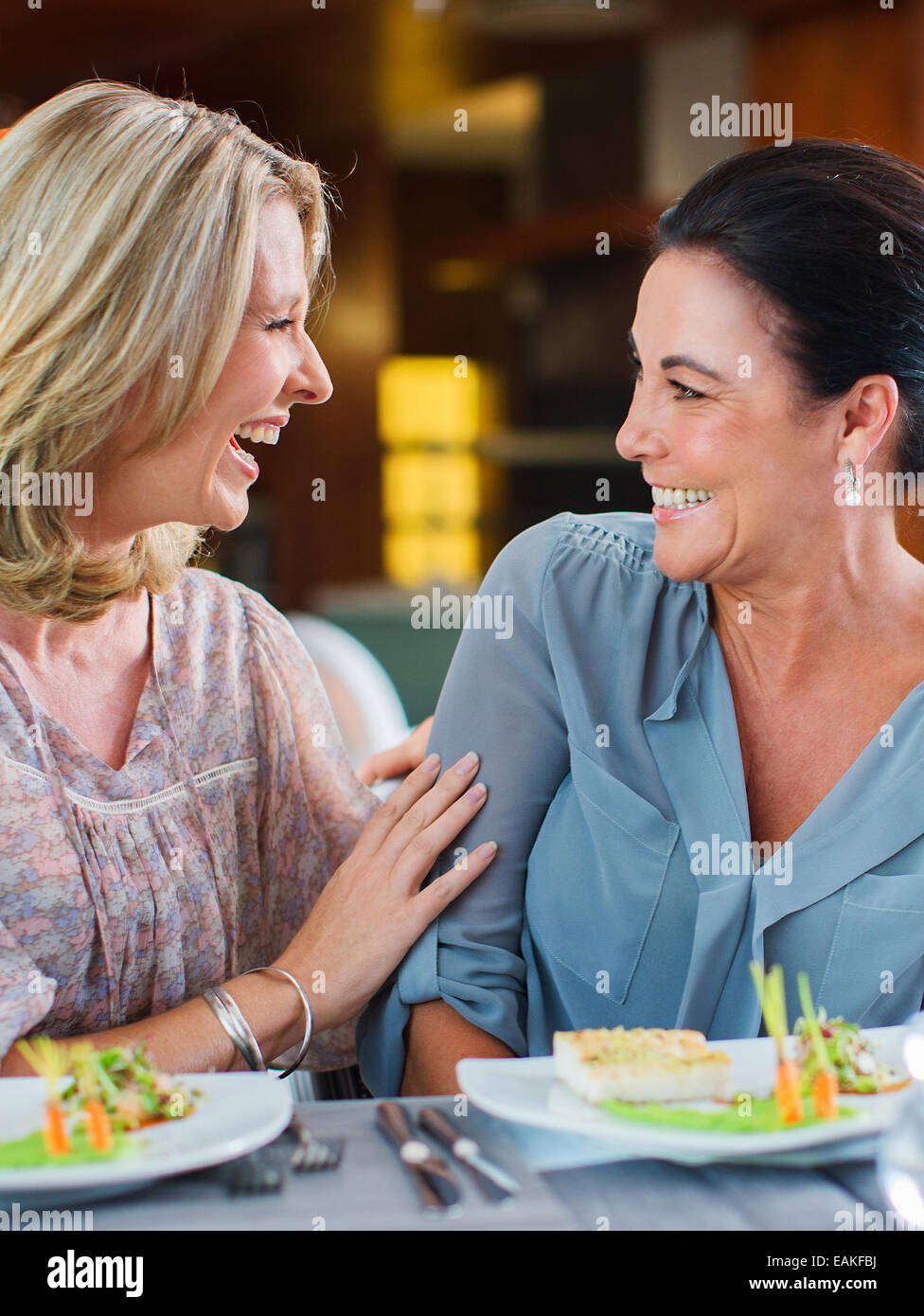Two female friends talking and laughing in restaurant, fancy dishes on ...