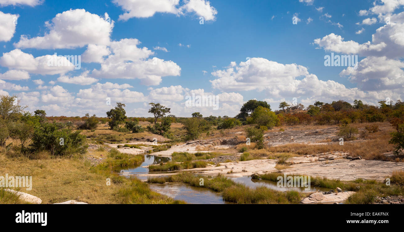 Kruger national park landscape hi-res stock photography and images - Alamy