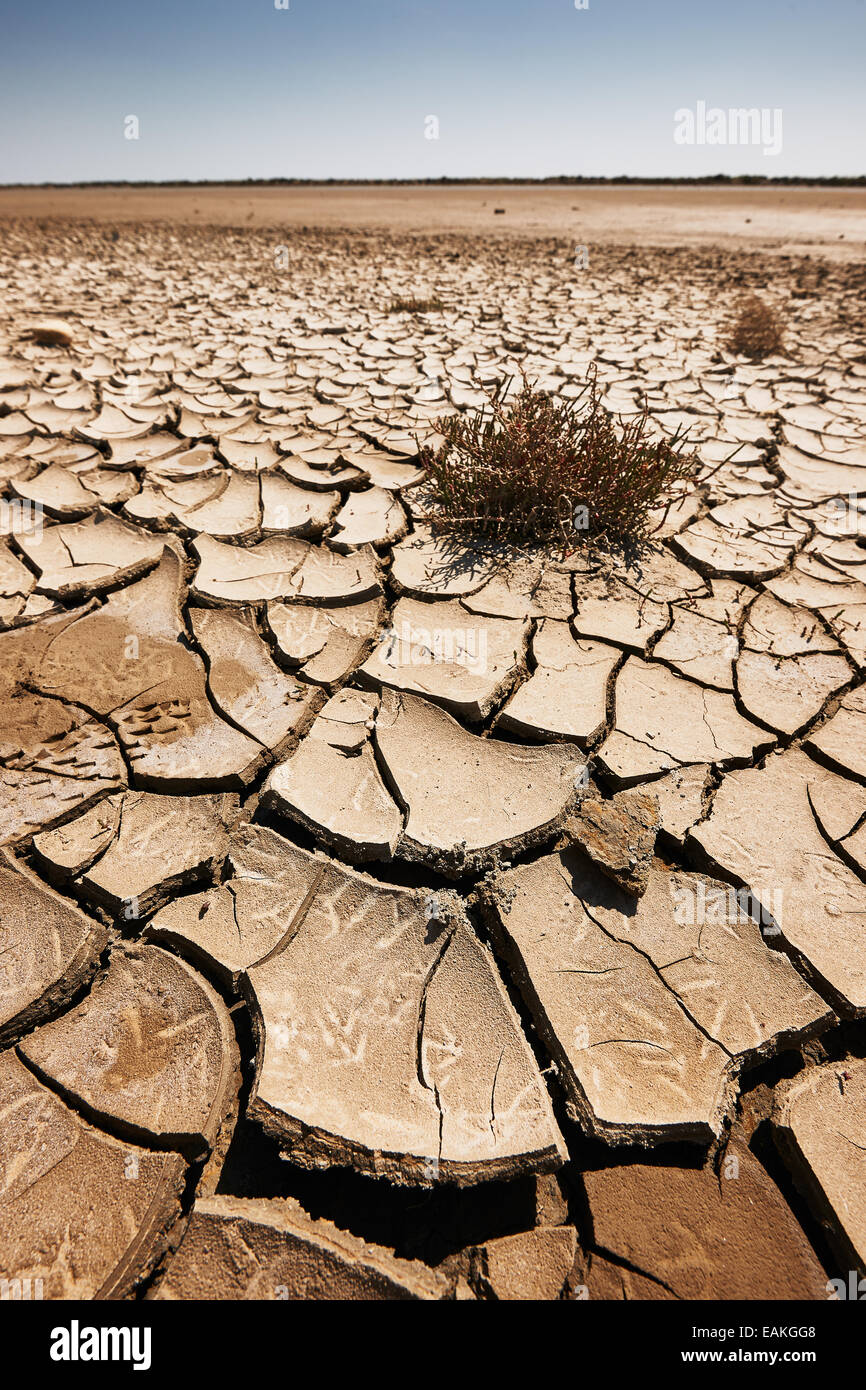 Arid land hi-res stock photography and images - Alamy