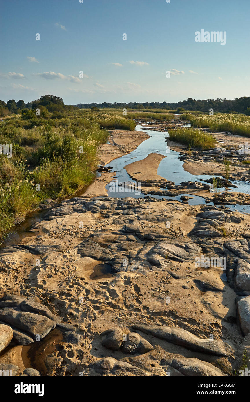 Small African river flowing in the Kruger National Park Stock Photo - Alamy