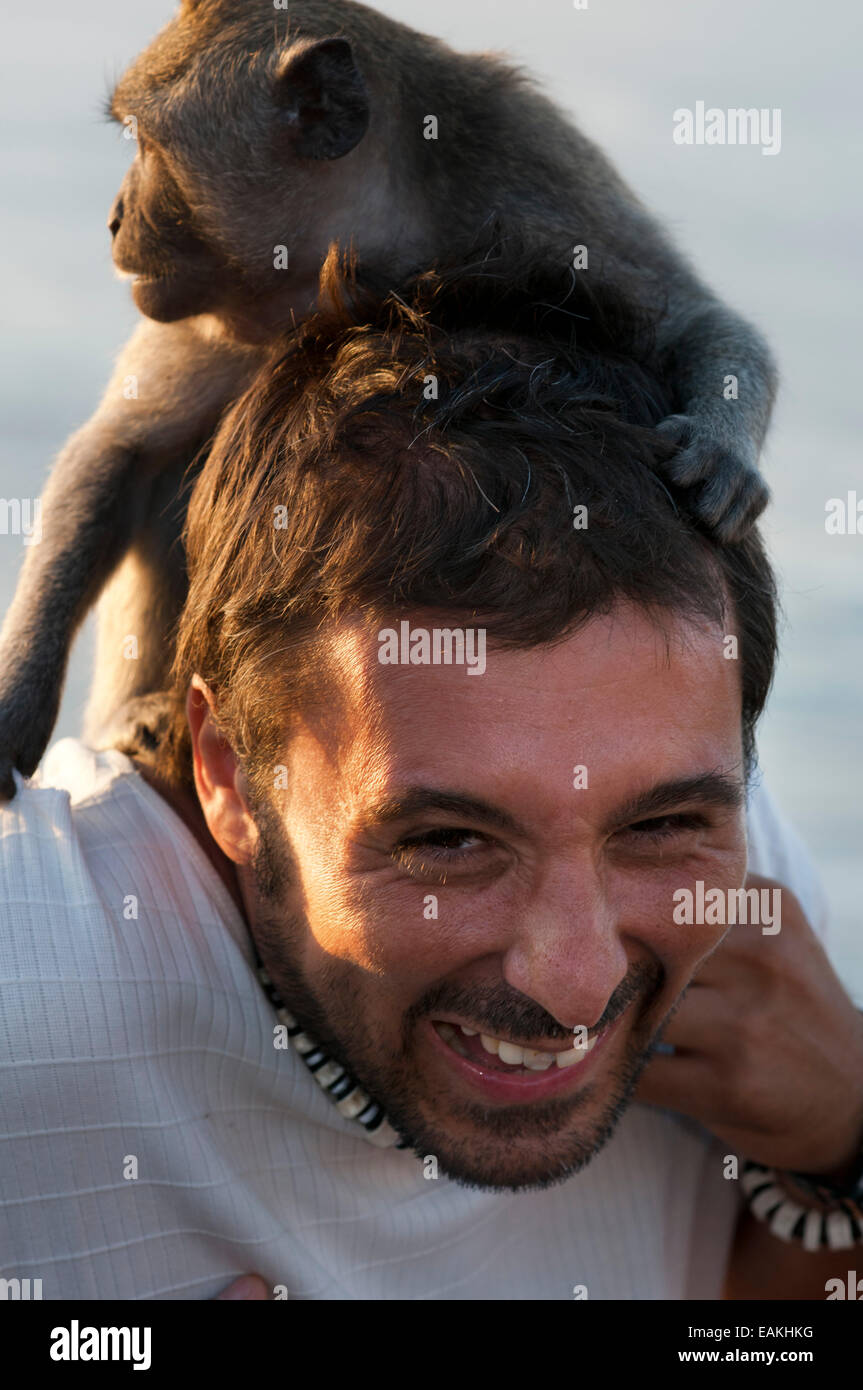 Monkey attack hi-res stock photography and images - Alamy