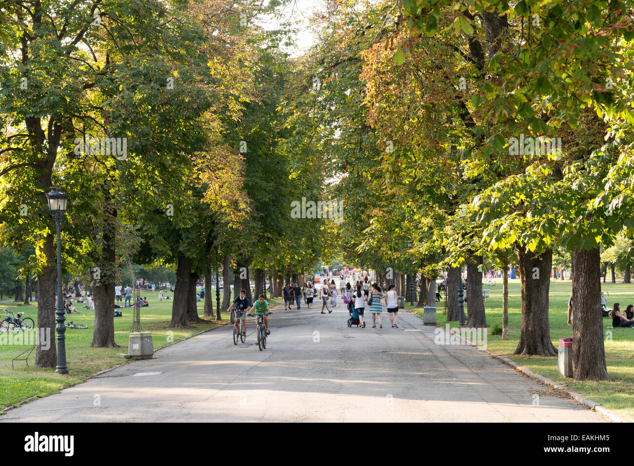 Tree lined avenue in Park Borisova gradina, Sofia, Bulgaria Stock Photo ...