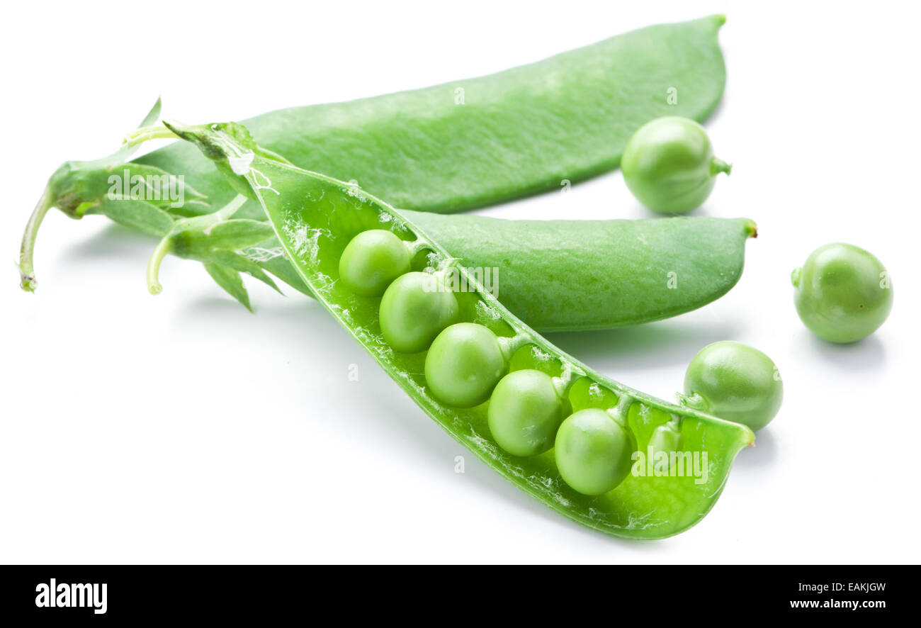 Fresh peas are contained within a pod isolated on a white background ...