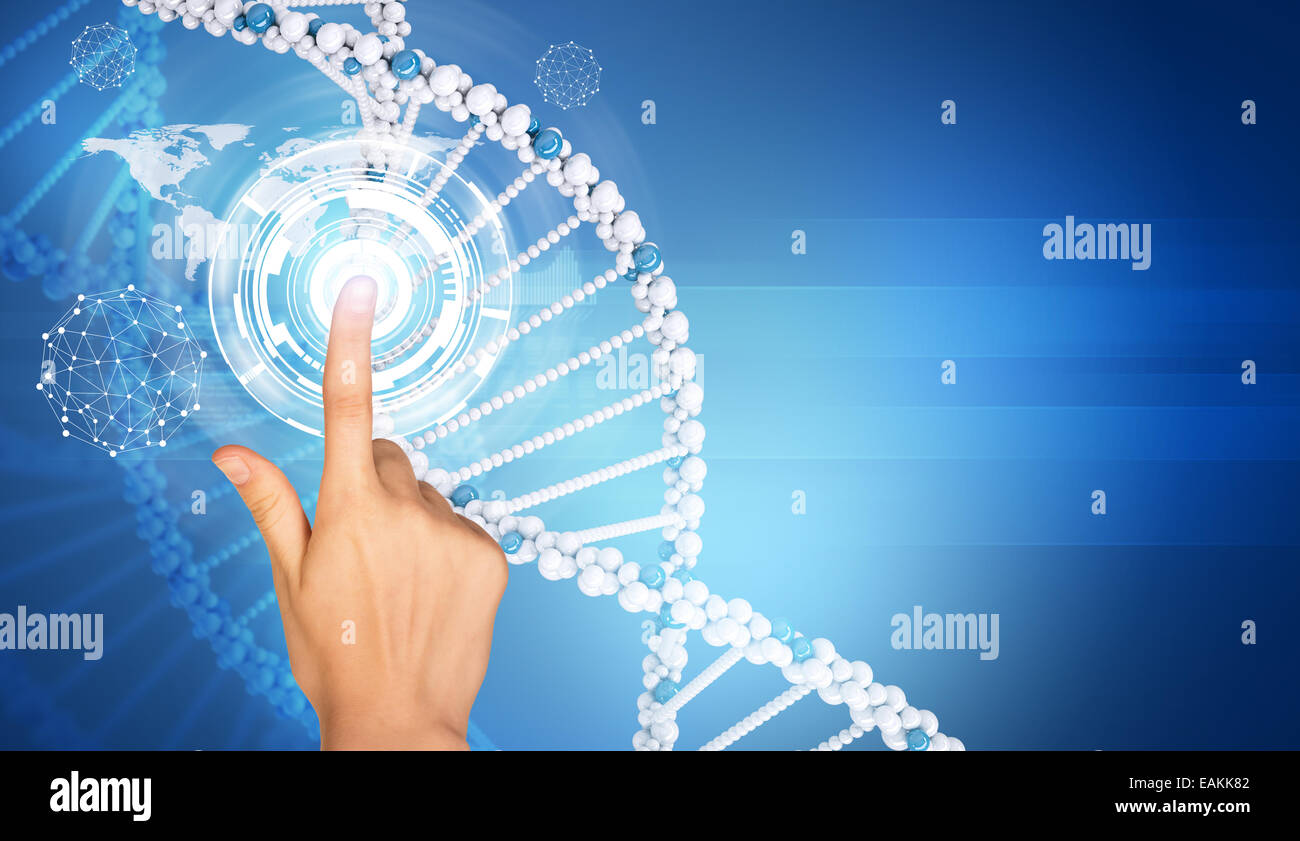 Hand finger presses on model of DNA Stock Photo - Alamy