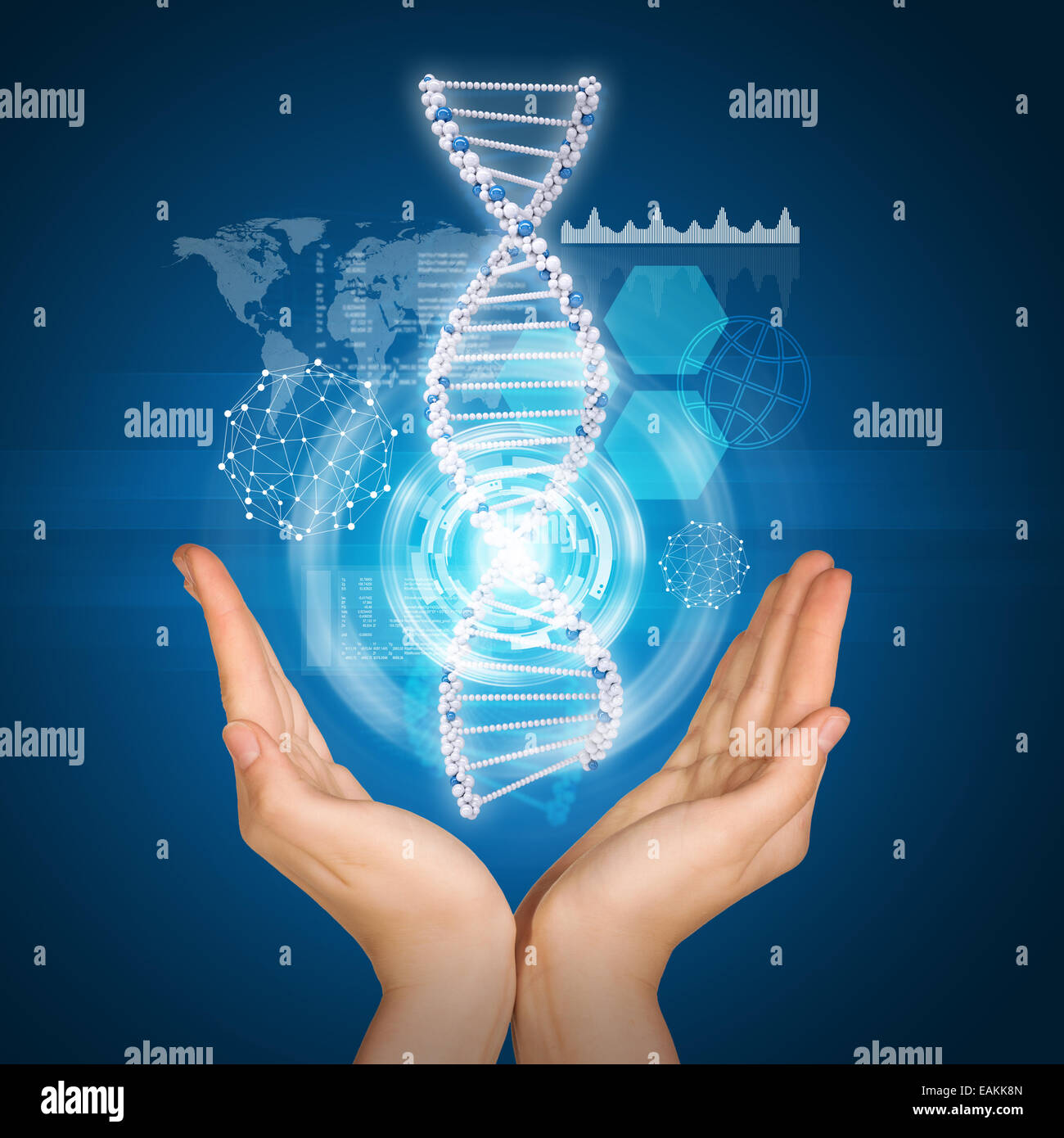 Hands holding model of DNA Stock Photo - Alamy