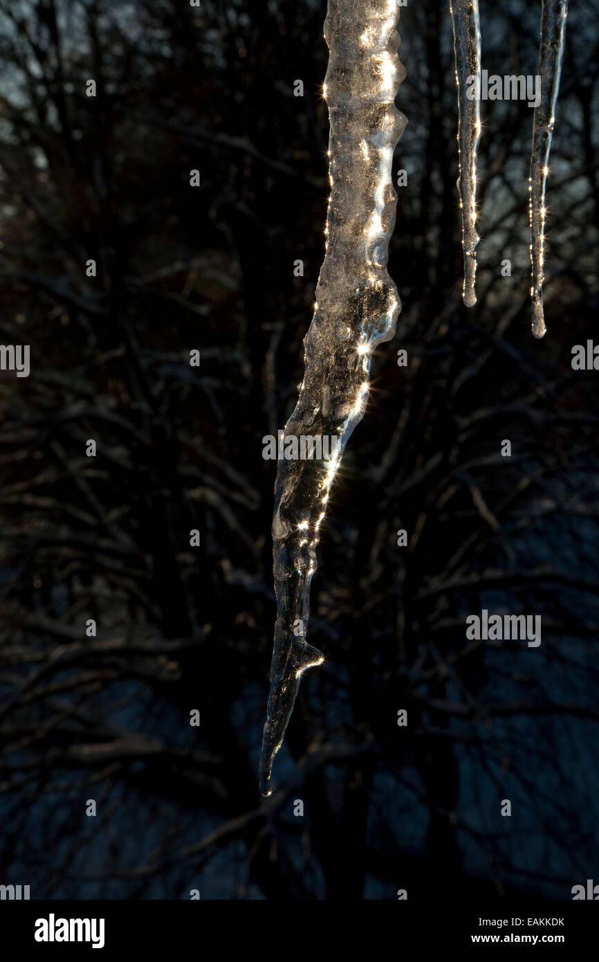 Icecle hi-res stock photography and images - Alamy