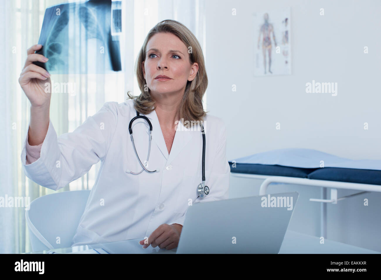 Female doctor looking at x-ray at desk with laptop in office Stock ...