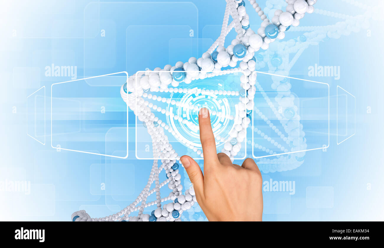 Hand finger presses on model of DNA Stock Photo - Alamy