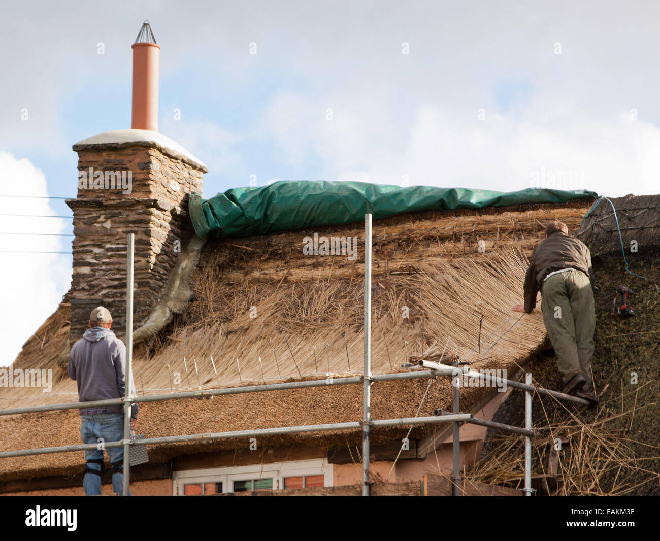 Thatchers uk roof hi-res stock photography and images - Alamy