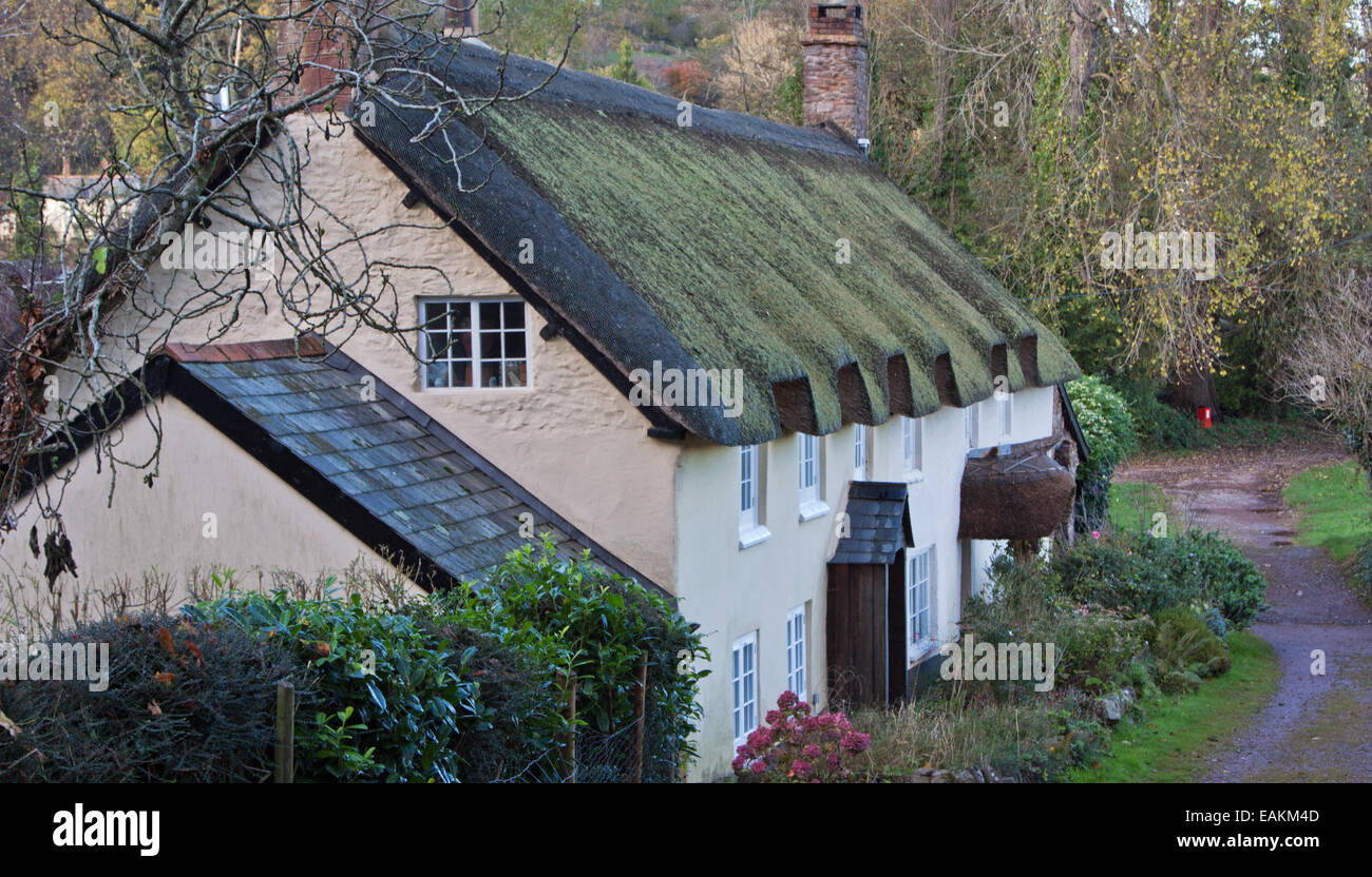 Restored Somerset cottages with traditional thatched roofing Stock ...