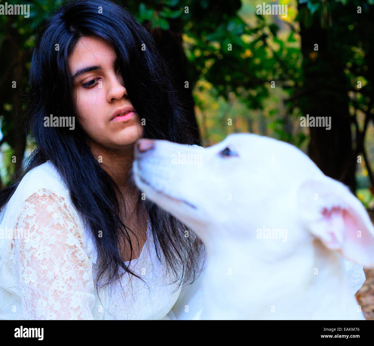 Dog girl teen teenager hi-res stock photography and images - Alamy