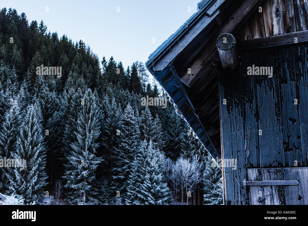 detail of a remote and isolated frozen cabin in the woods during winter ...