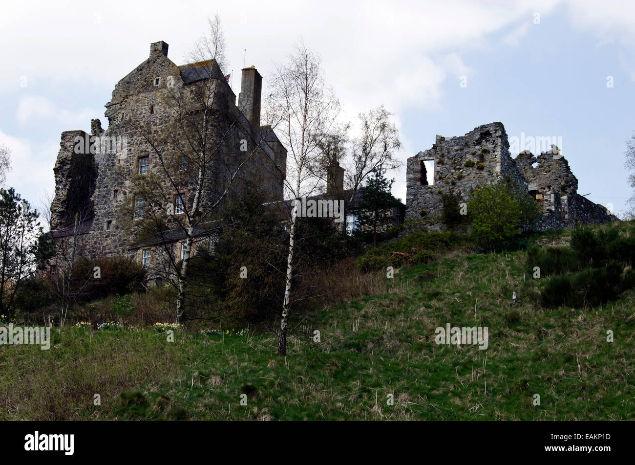 Neidpath Castle near Peebles in the Scottish Borders Stock Photo - Alamy