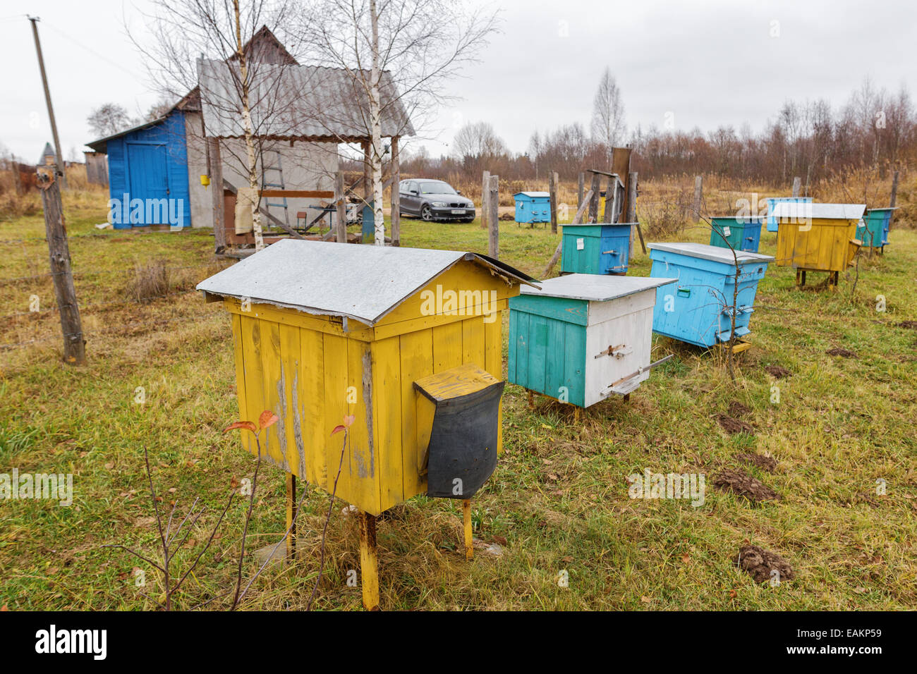 Apiary commercial hi-res stock photography and images - Alamy