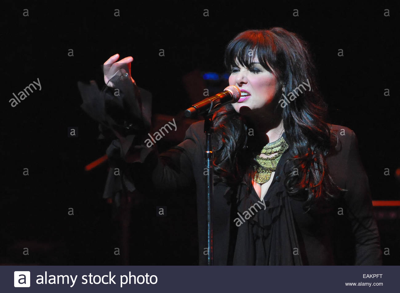 Ann Wilson Heart Stock Photos & Ann Wilson Heart Stock Images - Alamy