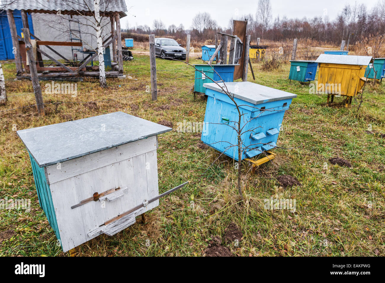 Apiary commercial hi-res stock photography and images - Alamy