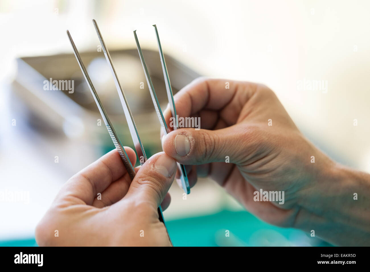 Hands doctor hold tweezers hi-res stock photography and images - Alamy