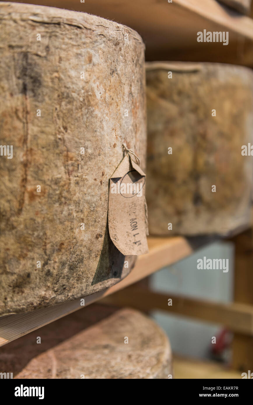 Round cheese stilton hi-res stock photography and images - Alamy