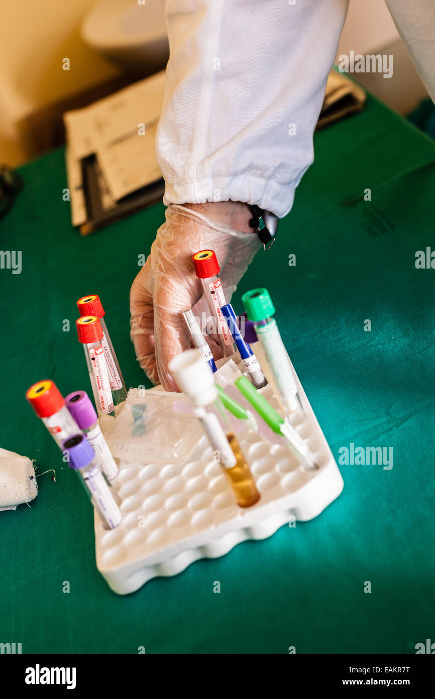 a tray with different vacuum blood vials with blood samples Stock Photo ...