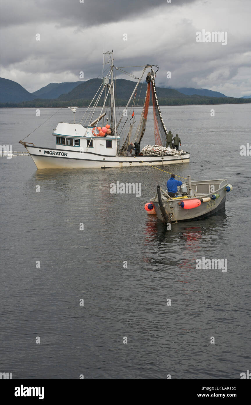 Skiff design hi-res stock photography and images - Alamy