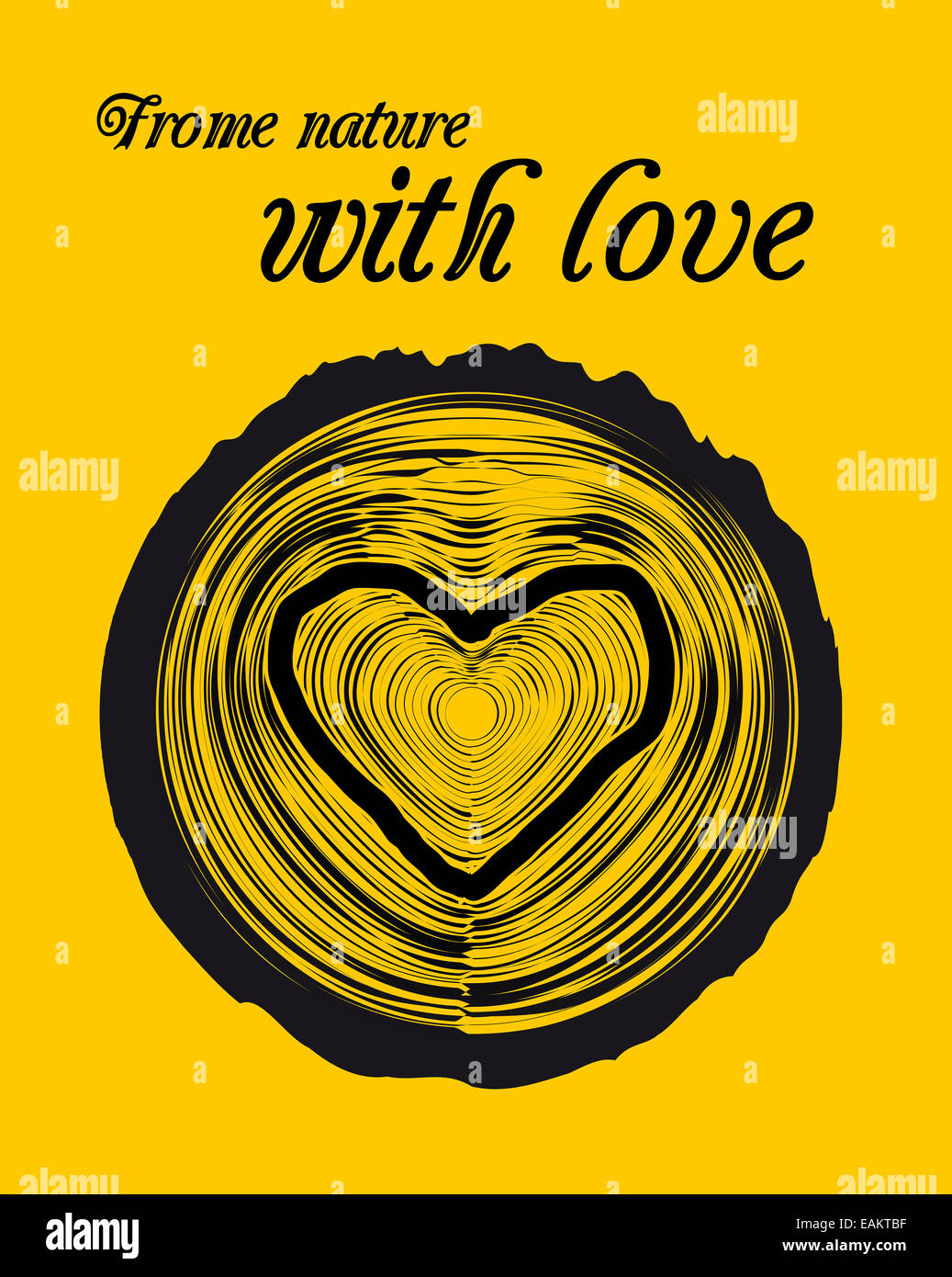 Log cross section tree rings Cut Out Stock Images & Pictures - Alamy