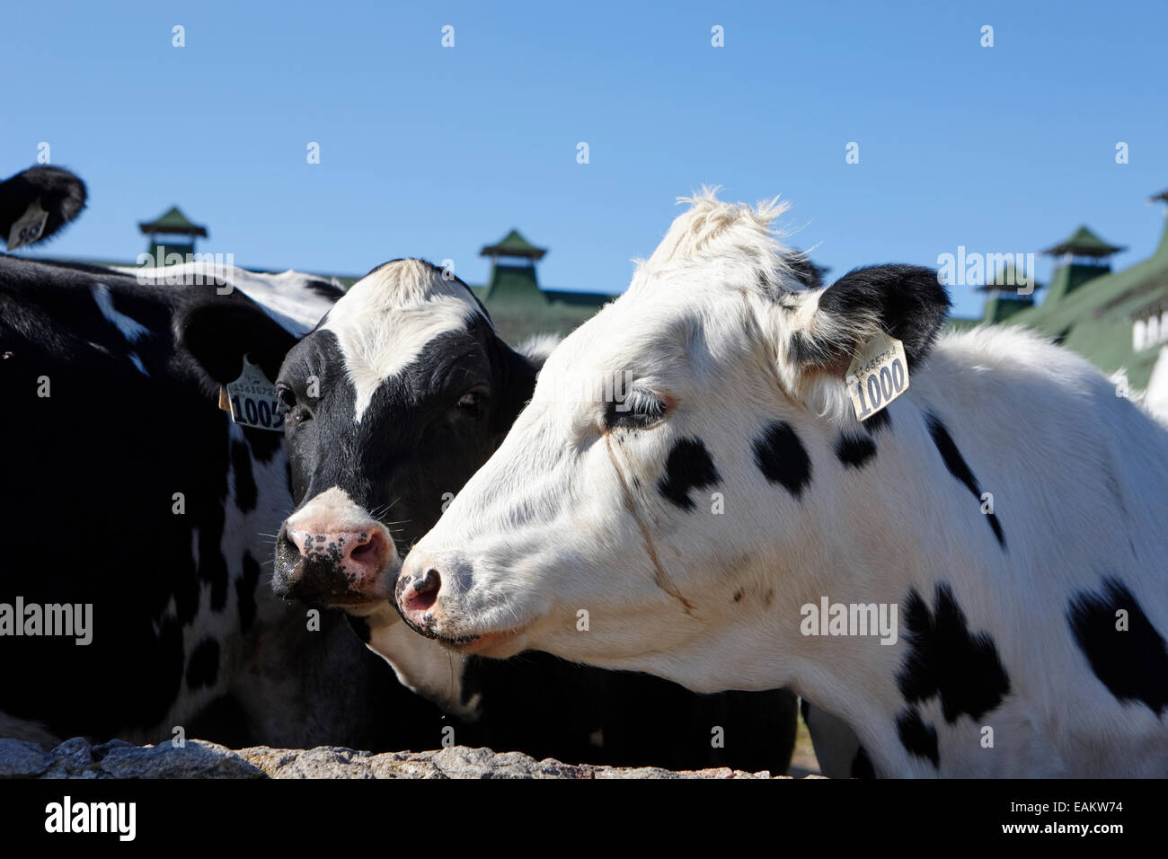 Canadian barn hi-res stock photography and images - Alamy