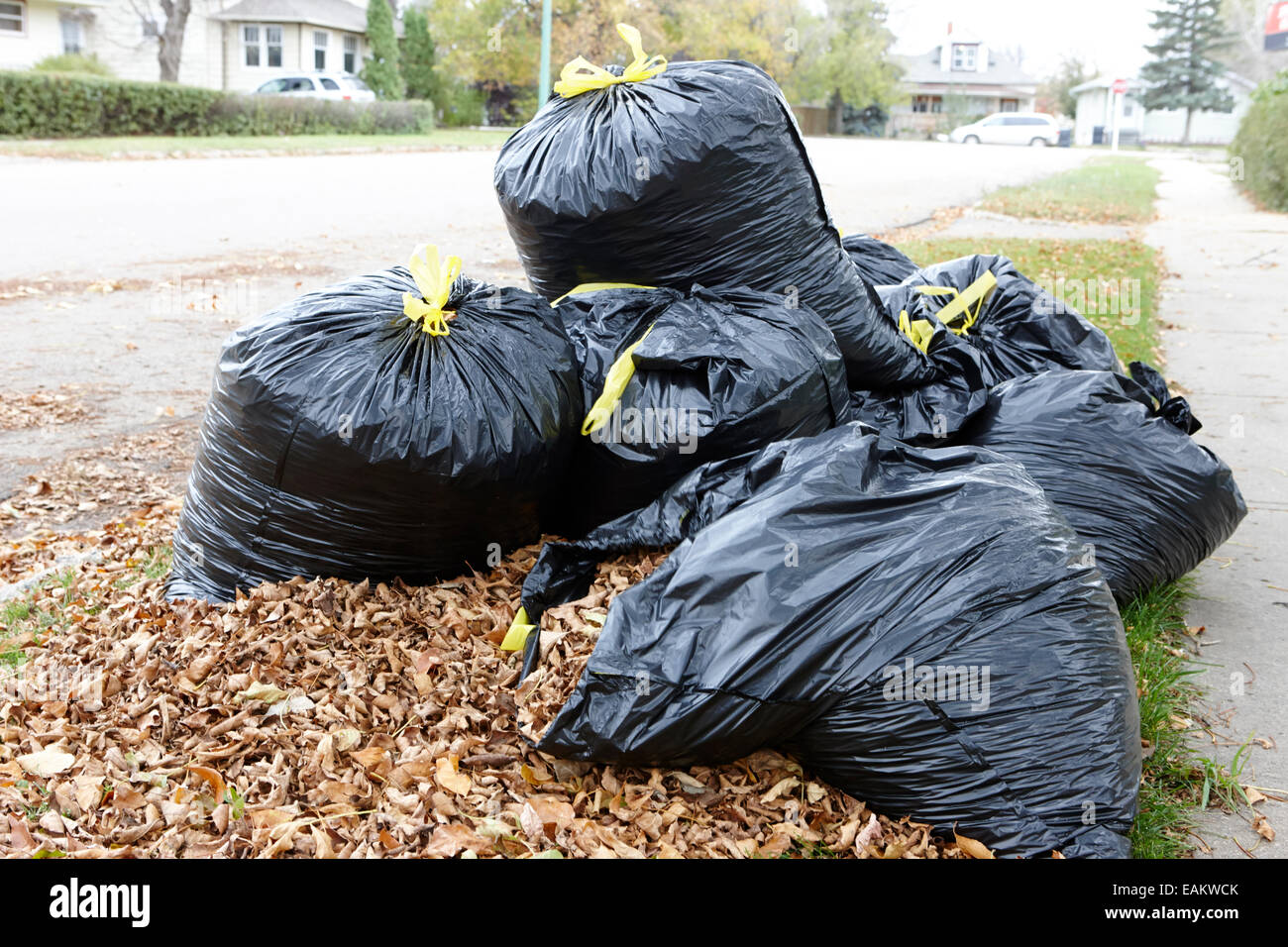 Piles of leaves hi-res stock photography and images - Alamy