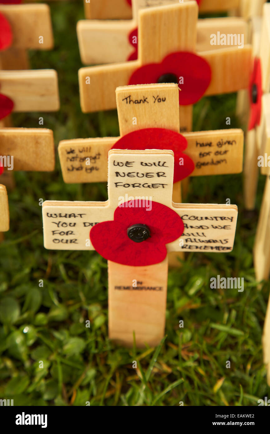 Wooden memorial crosses and Remembrance poppies adorn the grounds of ...