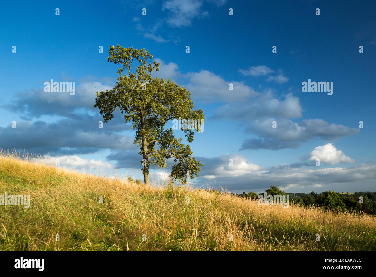 Kendal castle kendal town hi-res stock photography and images - Alamy
