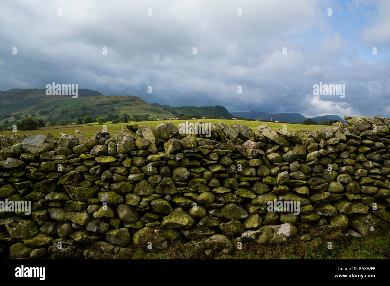 Walls separating fields hi-res stock photography and images - Alamy