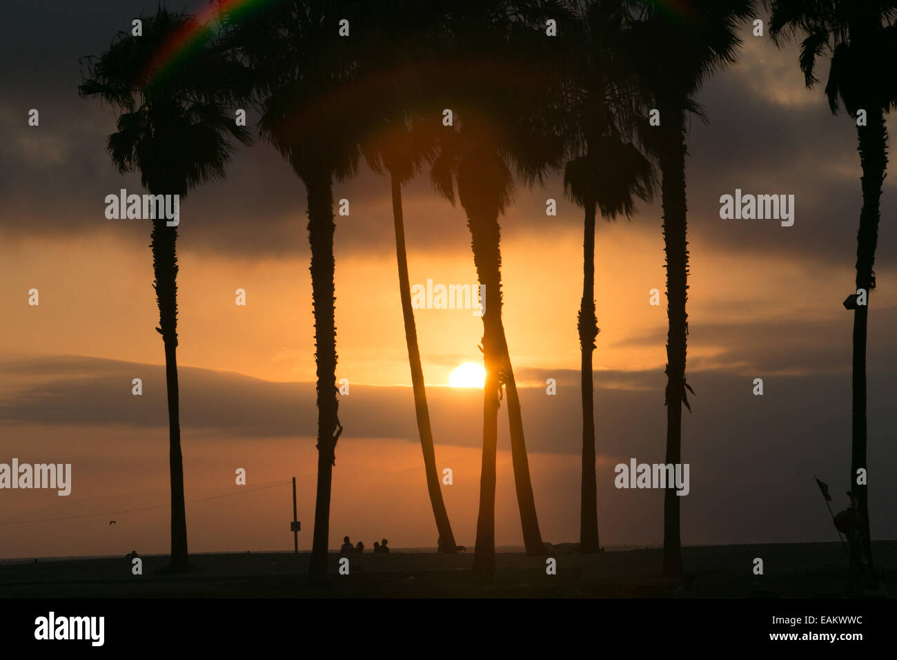 California palm trees sunset orange hi-res stock photography and images ...