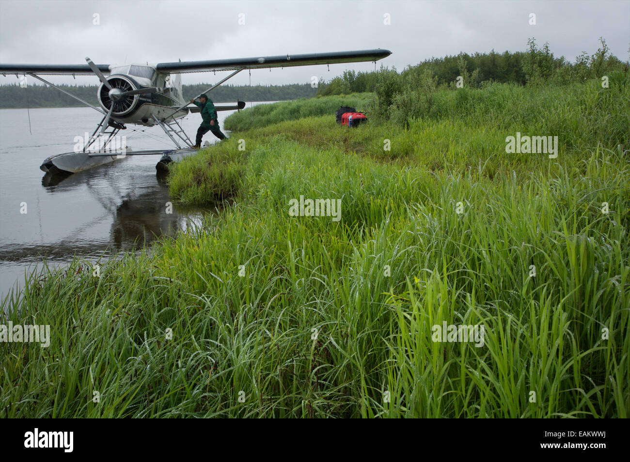 Beaver Float Plane Moored At King Camp, Nushagak River, Alaska Stock ...
