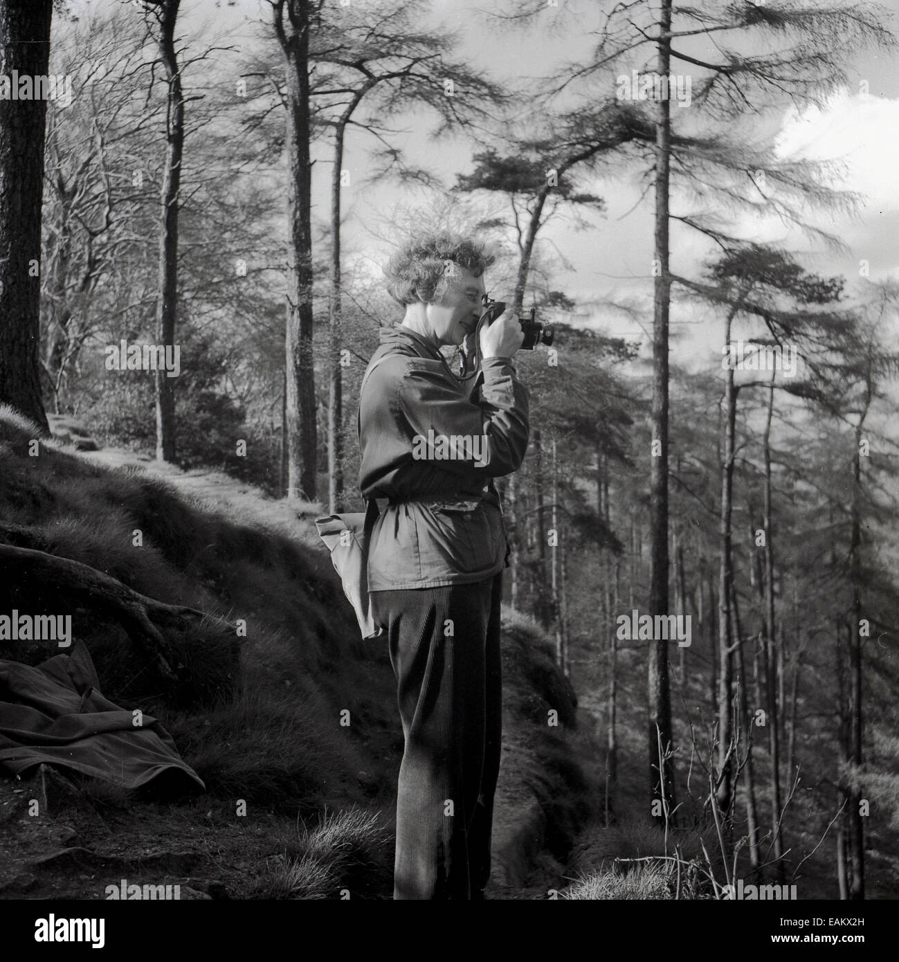 1950s, historical picture of a mature lady walker in woodlands using a ...