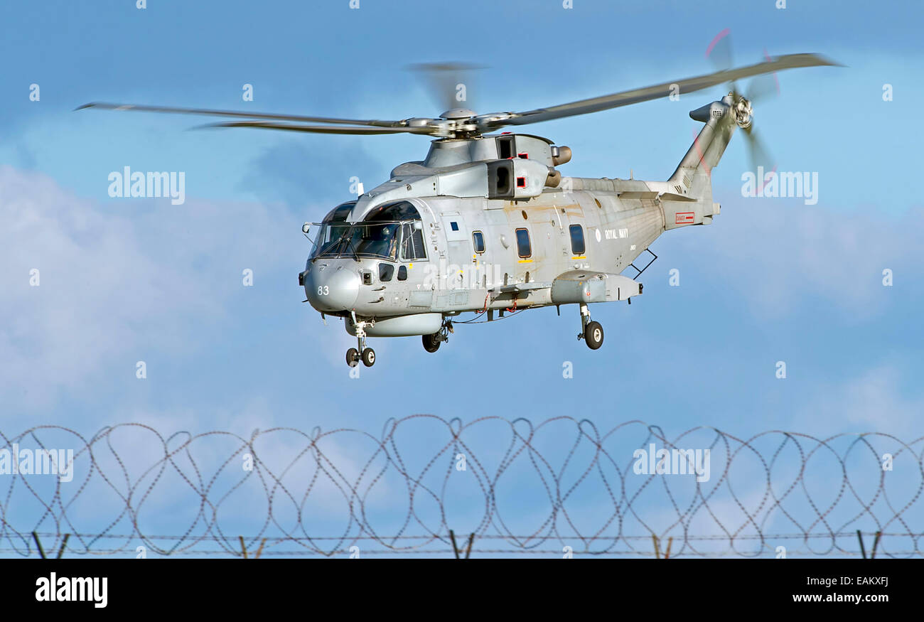 Royal Navy Merlin MK2 Aircraft from RNAS Culdrose Stock Photo - Alamy