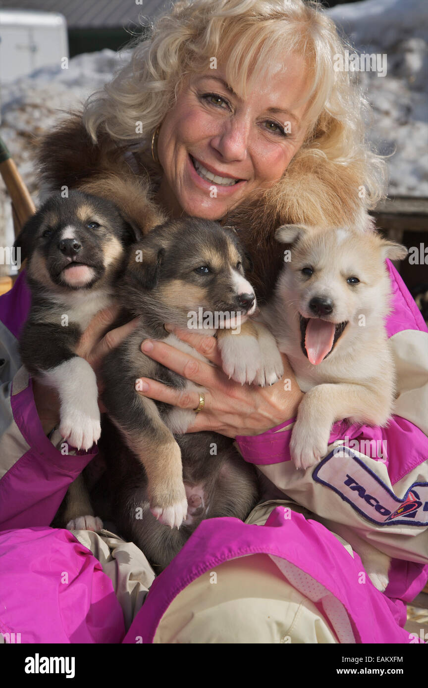 Alaska sled dog puppies hi-res stock photography and images - Alamy