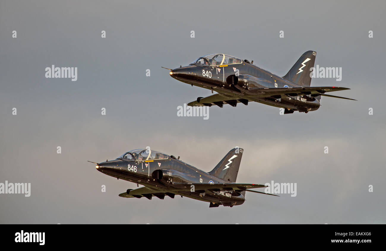Hawk T1A aircraft of 736 Naval Air Squadron Stock Photo - Alamy